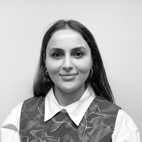 Meet the Team | Constructive Thinking